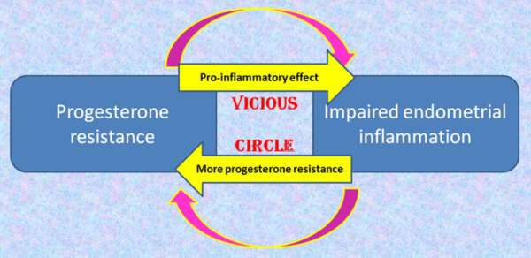 The role of hysteroscopy in assessing the impact of endometriosis on ...
