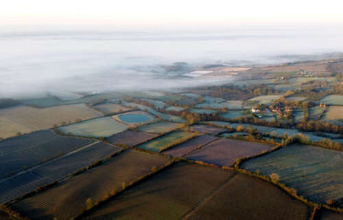 ISGE – The International Society for Gynecologic Endoscopy