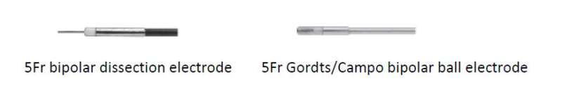 Diagnostic Hysteroscopy: equipment and technique – ISGE