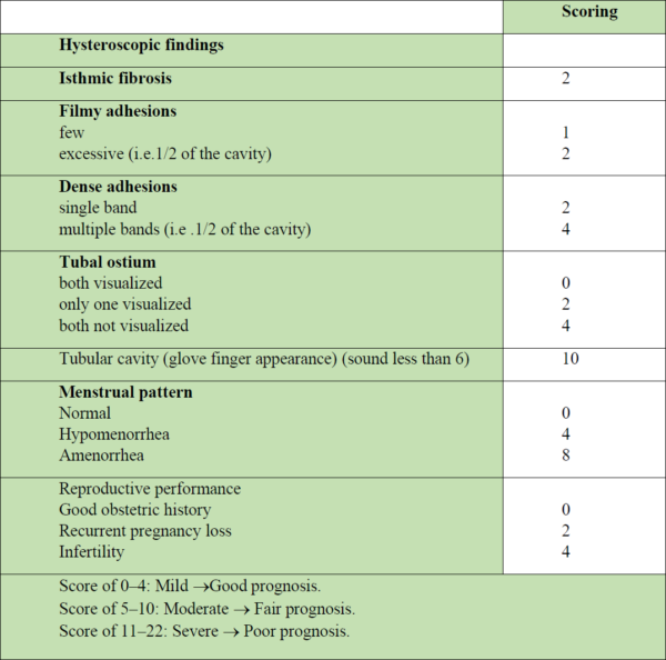 Diagnostic hysteroscopy in intrauterine adhesions – ISGE