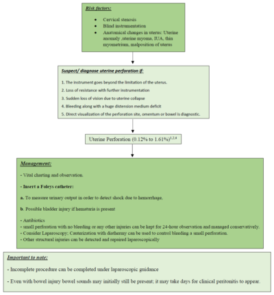 Diagnostic hysteroscopy: complications, Diagnosis and management – ISGE