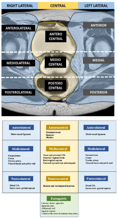 Use of imaging techniques for non-invasive diagnosis and classification ...