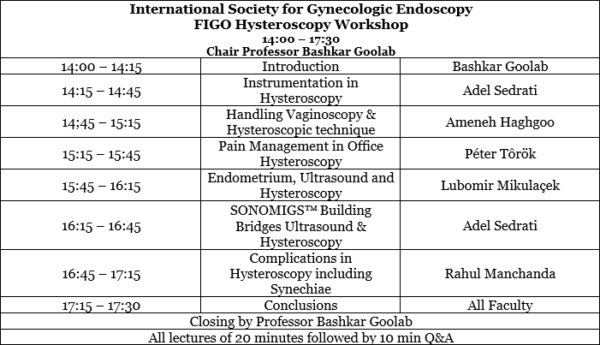 ISGE FIGO Hysteroscopy Workshop – ISGE